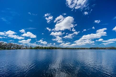 Lake Padgett Estates Homes for Sale and Real Estate in Land O Lakes FL