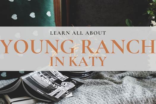 Young Ranch | Welcome to the Jo & Co. experience. Long story short: we ...