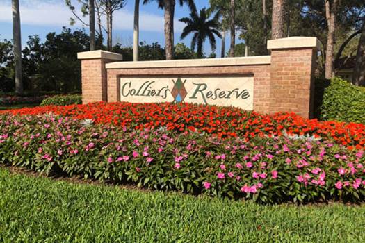 Collier’s Reserve Real Estate - Homes for Sale in Collier’s Reserve