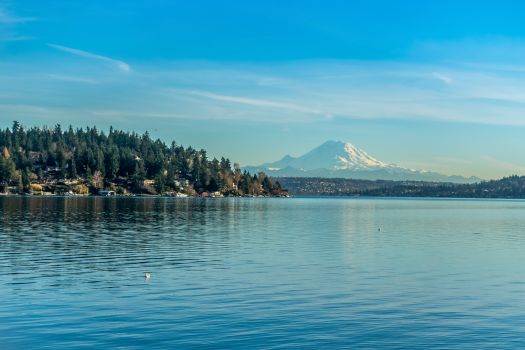 Lake Forest Park WA Homes for Sale - Lake Forest Park Real Estate