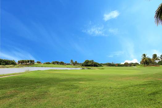 Polo Trace Golf and Country Club real estate and homes for sale in Polo ...