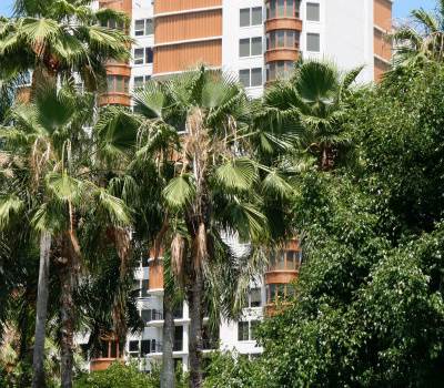 La Mer - 4051 Gulf Shore Boulevard N Naples FL 34103 - Park Shore Real ...