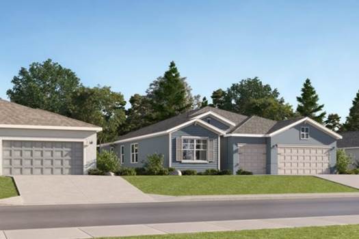 Florida Parrish Rye Ranch - Executive Homes