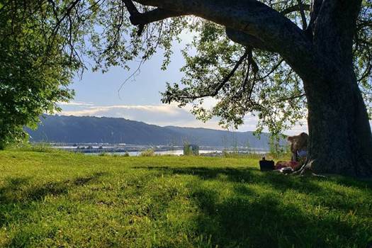 Living in Overlook Portland | Neighborhood Guide by Piece of PDX