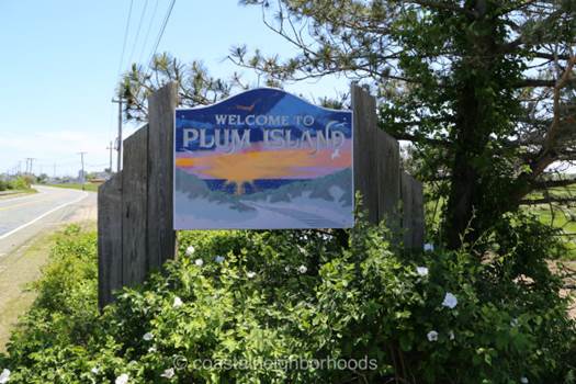 Plum Island - Newburyport Real Estate