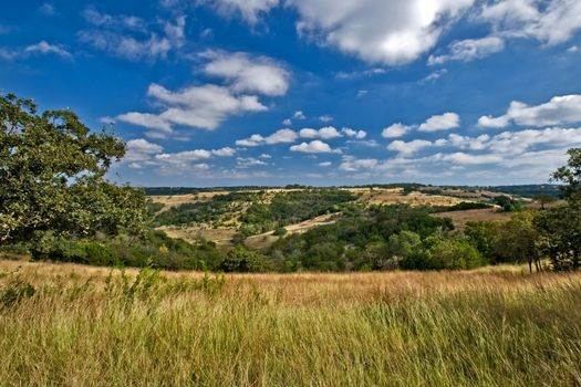 Texas Ranches for Sale | Prime Ranch Land & Koehler Real Estate