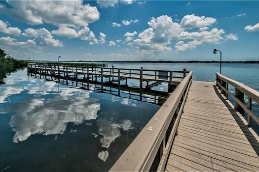 Lithia FL Waterfront Homes