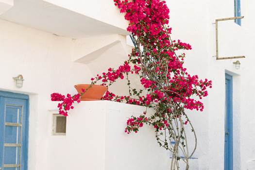 Winding Walk Homes For Sale (Winding Walk Real Estate)