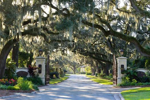 Moss Point Ormond Beach | Exclusive Gated Community Homes