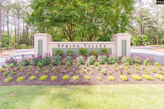 Spring Valley Homes for Sale | Columbia Real Estate
