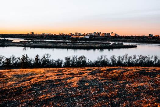 Douglas Place Real Estate - Homes for Sale in Douglas Place