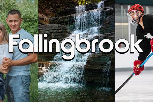 Houses, Condos and Townhouses For Sale in Fallingbrook ON