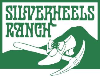 Silverheels Ranch Real Estate | Fairplay, CO Mountain Properties