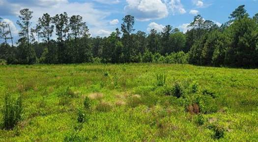 Aynor 1 Acre Homes for Sale