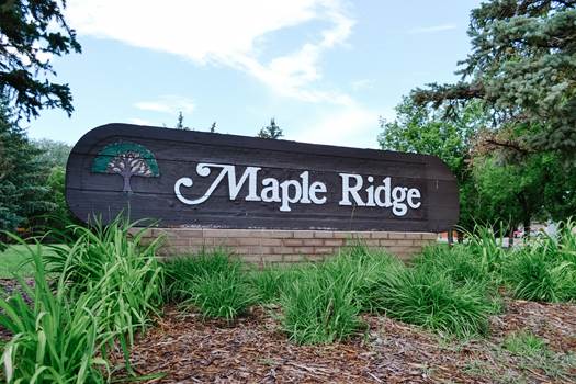 Maple Ridge Real Estate - Homes for Sale in Maple Ridge