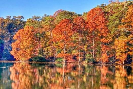 North Shore at Ridgely Manor homes for sale, Virginia Beach, VA | The ...