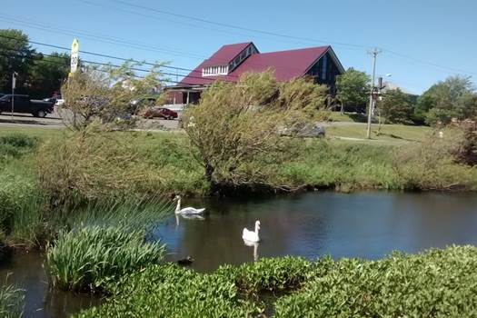 Mundy Pond Real Estate - Homes for Sale in Mundy Pond