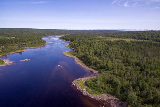 Gander Bay Area Real Estate - Homes for Sale in Gander Bay Are