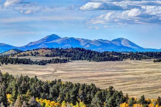 South Park Ranches Real Estate | Hartsel, CO Properties for Sale