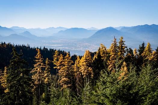 Cle Elum WA Homes for Sale - Cle Elum Real Estate