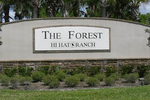 Forest At The Hi Hat Ranch