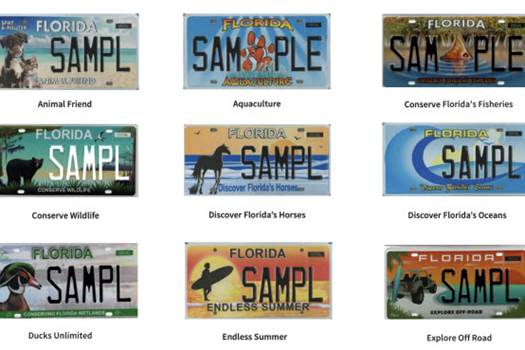 Establishing Florida Residency