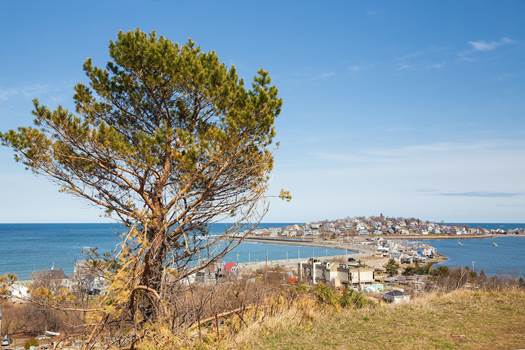 Hull Real Estate - Homes for Sale in Hull