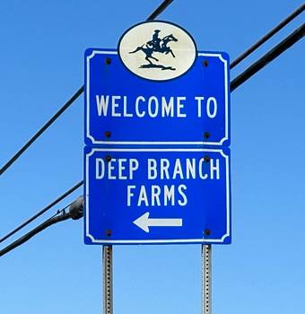 Deep Branch Farms Homes Townsend DE | Deep Branch Farms Real Estate ...