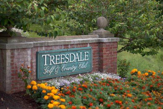 Treesdale Homes for Sale - Complete List, Hand Curated