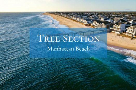 Homes for Sale in the Tree Section, Manhattan Beach, CA | Family ...