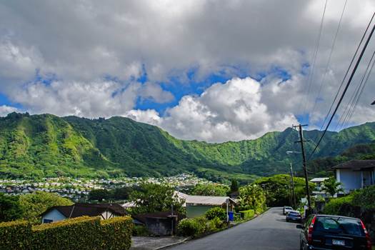Manoa | Neighborhood Information & Homes For Sale
