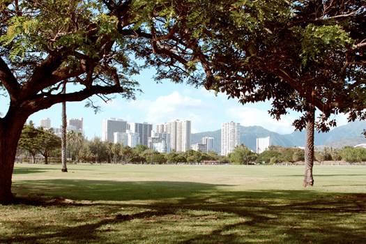 Pualei Circle | Neighborhood Information & Condo Listings