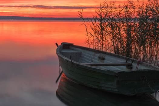 Cory Lake Isles Real Estate - Homes for Sale in Cory Lake Isles