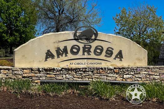 Campanas At Cibolo Canyons Homes for Sale - San Antonio TX Real Estate