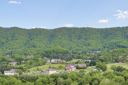 Bonsack VA Homes for Sale | Bonsack Real Estate