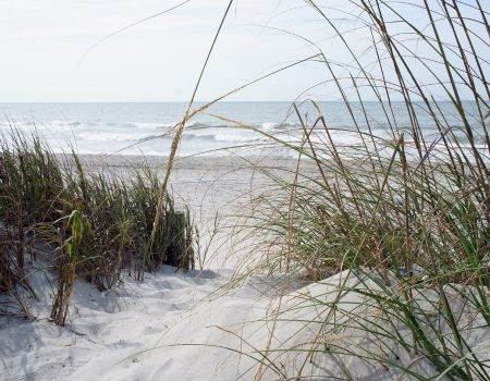Anderson Ocean Club Condos for Sale in Myrtle Beach SC