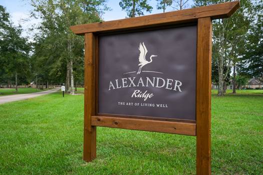 Alexander Ridge Real Estate - Homes for Sale in Alexander Ridge