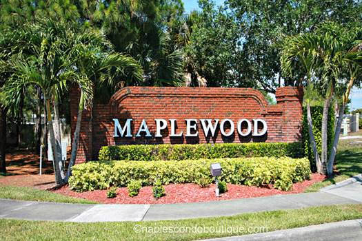Kings Lake – Naples Real Estate - Kings Lake Homes For Sale