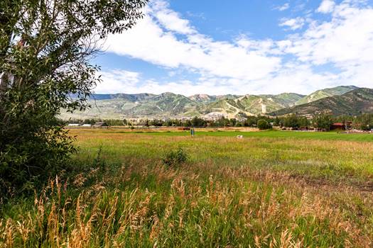 Old Ranch Road Homes for Sale - Old Ranch Road Real Estate