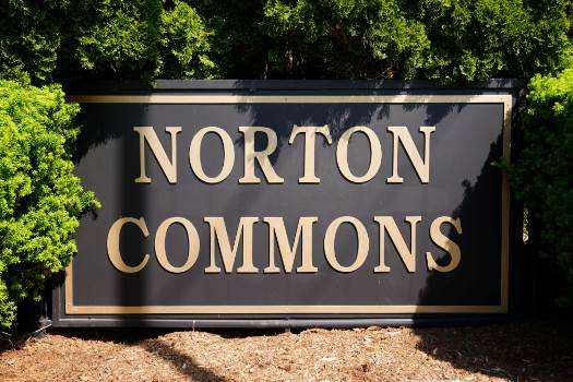 Norton Commons Homes For Sale - Prospect, KY 40059 Real Estate