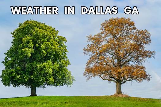 Weather in Dallas GA
