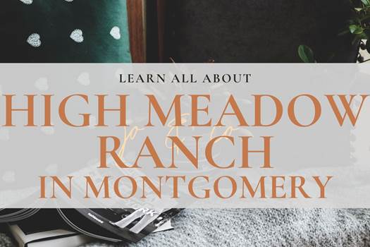 High Meadow Ranch | Welcome to the Jo & Co. experience. Long story ...