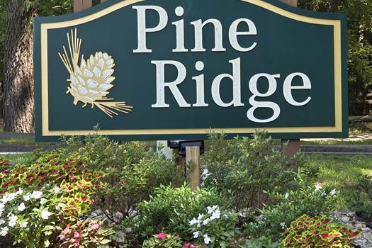 Pine Ridge Homes for Sale