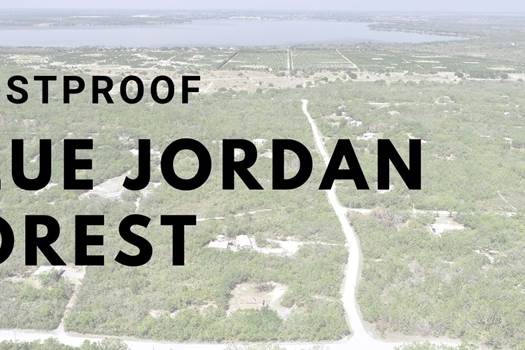 Blue Jordan Forest Homes for Sale - The Stones Real Estate Firm - Real ...
