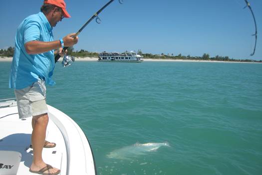 Southwest Florida Tide Chart