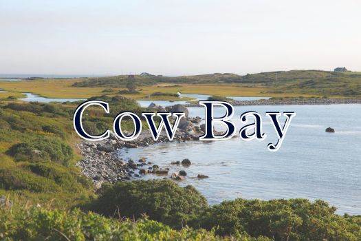 Cow Bay, NS - Community Features & Real Estate
